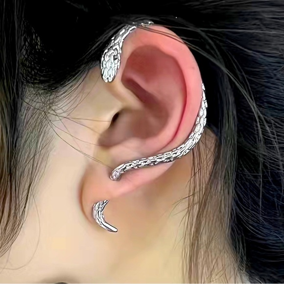 unbranded | Jewelry | Nwt Gothic Wrapping Serpentine Earrings For ...